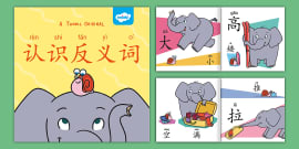 *Singapore Mandarin with Pinyin Let's Explore the Jungle! eBook*