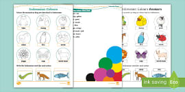 Colour Hunt Worksheet Indonesian (teacher made) - Twinkl