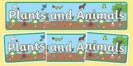Characteristics of Plants and Animals | Easy to Download