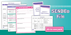 SENDCo Observation Form