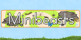 Minibeast banner - display lettering (teacher made)