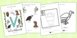 FREE! - My 'v' Workbook - 'v' Words for Kids (teacher made)