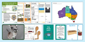 Back to Primary School | Teaching Resources Australia | Twinkl