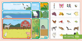 Animal Leg Sorting Activity