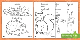 Autumn Colouring Pages (teacher made) - Twinkl
