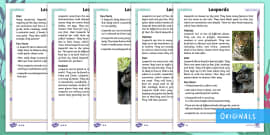 Pythons Differentiated Fact File (teacher made)