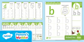 Poster Arddangos Pentre'r Wyddor (teacher made) - Twinkl