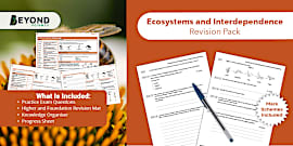 KS3 Interdependence and Food Webs Worksheet | Beyond Science