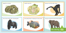 Farm Brain Break Action Cards (teacher made) - Twinkl