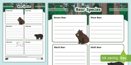 Grizzly Bear Fact File Template (teacher made) - Twinkl