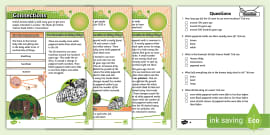 KS1 British Science Week Experiments and Inventions - Twinkl