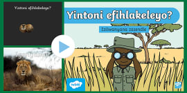 Word Tracing Worksheet | isiXhosa I Wild Animals - Twinkl