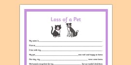 Social Situation Sheet Death of a Pet Primary - Twinkl