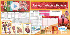 Science: Earth and Space Year 5 Unit Pack - Twinkl