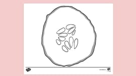 FREE! - Cucumber Colouring Sheet | Primary Resources