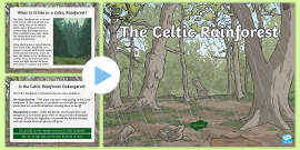 Scotland’s Celtic Rainforest Map | CfE Primary Resources