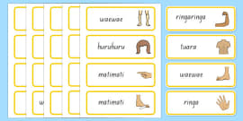 Te Reo Māori: Interactive Te Tinana Labelling Activity