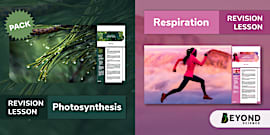 Aerobic Respiration Lesson Pack | Beyond Science