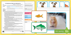 EYFS Maths: Minibeast Hunt Comparing Amounts Group Activity Adult Input ...