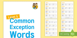 Level 4 / Phase 4 Word Booklet (teacher made)