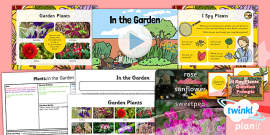 Science: Plants: Wild Plants Year 1 Lesson Pack 2