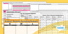 Year 4 States of Matter End of Unit Assessment