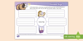 Guinea Pig Fact Wiki | How do I care for my guinea pig?