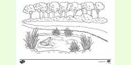 FREE! - Recorder Side View Colouring | Colouring Sheets