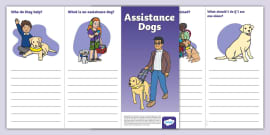 Assistance Dogs PowerPoint | SEN Home Education | Twinkl