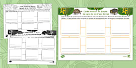 Le cycle de vie de la tortue de mer French