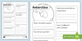 Year 2 Amazing Antarctica Comprehension | Reading Worksheet