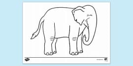 Mindfulness Elephant Colouring Pages (teacher made) - Twinkl