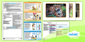 EYFS PE Gym in the Jungle Lesson 1: Exploring the Jungle