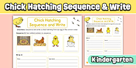 Chick Observation Worksheet