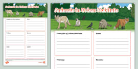 Fox Fact File Template,foxes (teacher made) - Twinkl