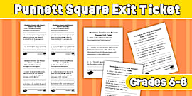 Pumpkin Punnett Square Practice & Craft for 6th-8th Grade