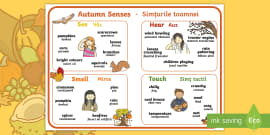 Autumn Senses Word Mat (teacher made) - Twinkl