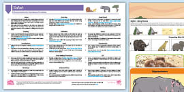 EYFS Safari Activity Planning and Continuous Provision Ideas (Ages 2-4)