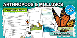 Mollusc Fact File