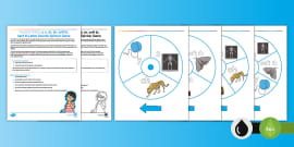 Phonics Canada z,w,ng,v,short oo long oo Letter Sounds Bingo