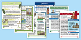 UKS2 December Differentiated Reading Comprehension Activity Pack