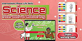 Life Skills Grade 4 Display Banner - Intermediate Phase