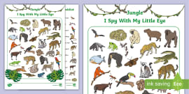 Jungle and Rainforest I Spy and Count Activity to 20