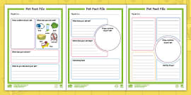 Pet Fact File Worksheet / Worksheets