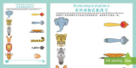 *Chinese with Pinyin My Favourite Zoo Animal Writing