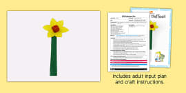 Daffodil Colouring Sheet - Teaching Resource - Twinkl