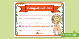 EYFS End of Year Certificates (teacher made)