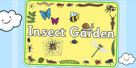 Editable Insects Classroom Newsletters - Twinkl