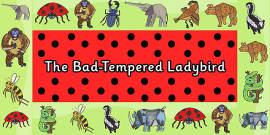 FREE! - Display Banner to Support Teaching on The Bad Tempered Ladybird