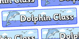 FREE! - Editable Drawer - Peg - Name Labels (Dolphins) - Dolphin Label